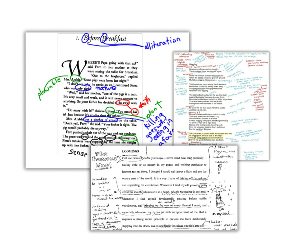 Close Reading, Annotating, Text Evidence - Language Arts Teachers